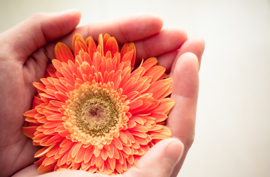 The Flower Communion and Volunteer Appreciation Sunday - Unitarian ...